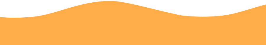 Primary Engineer Rail Programme - Primary Engineer